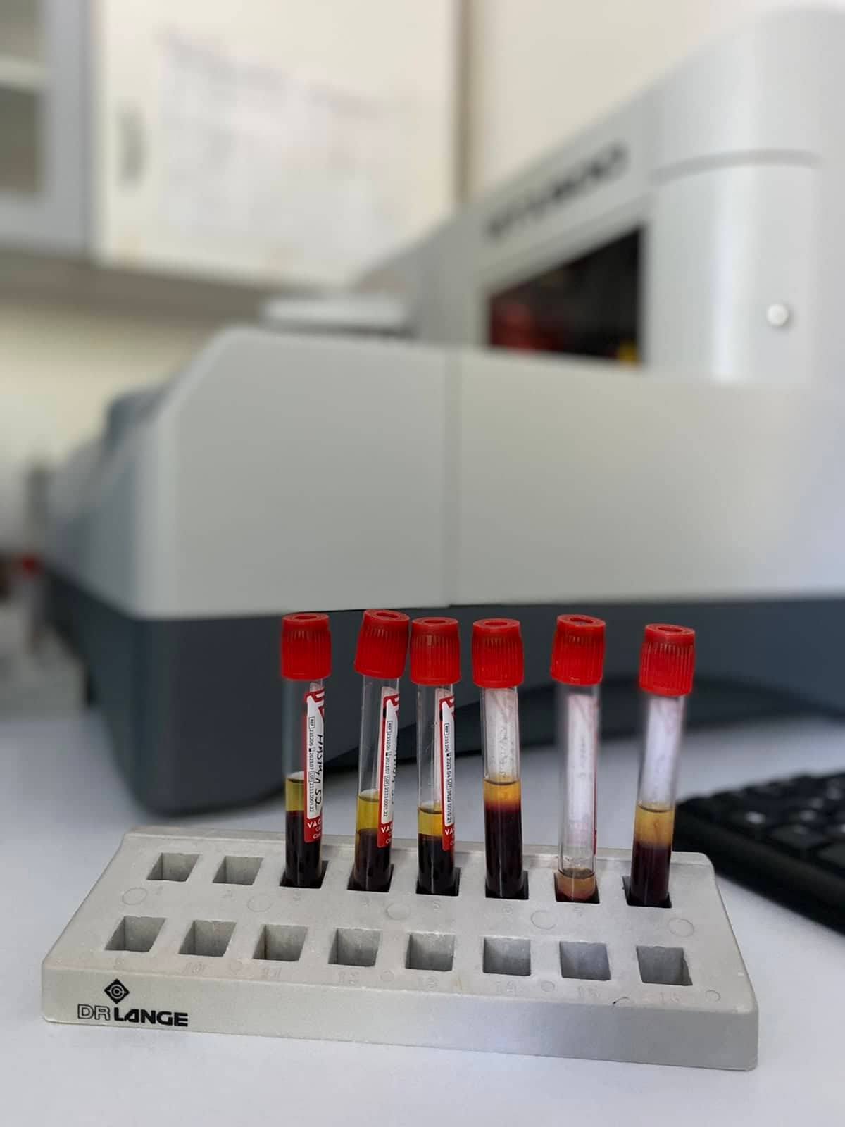 Galerija slika – MEDICUS